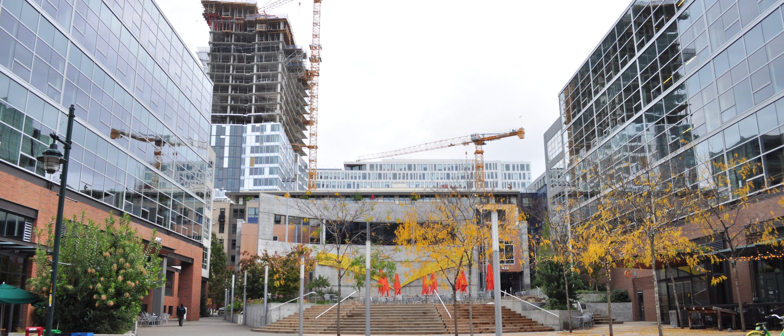 A Seattleite Reflects on the City in the Age of Amazon – Common Edge