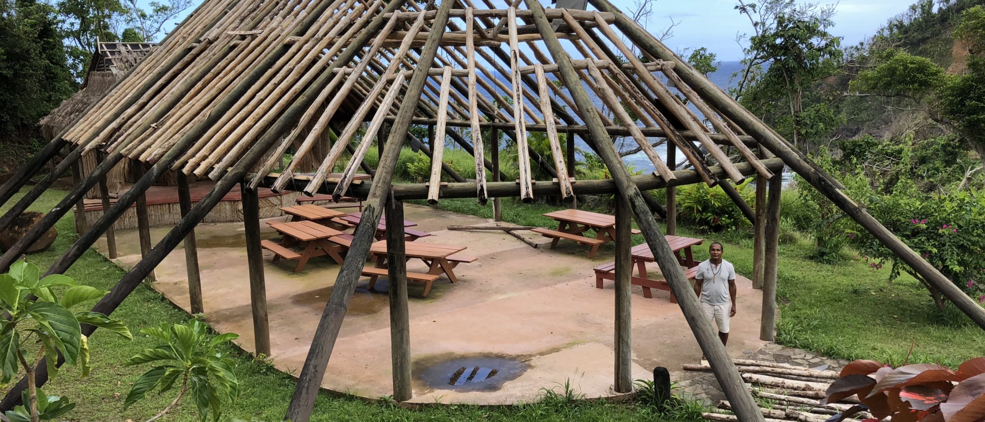 Lessons in Resilience Planning from the Tribal Chief of the Kalinago ...