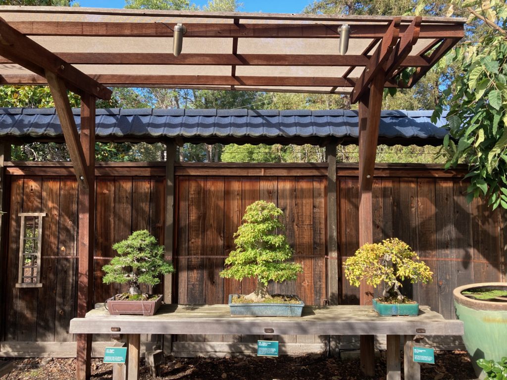 My 15-Minute City: Lake Merritt, Oakland, California – Common Edge