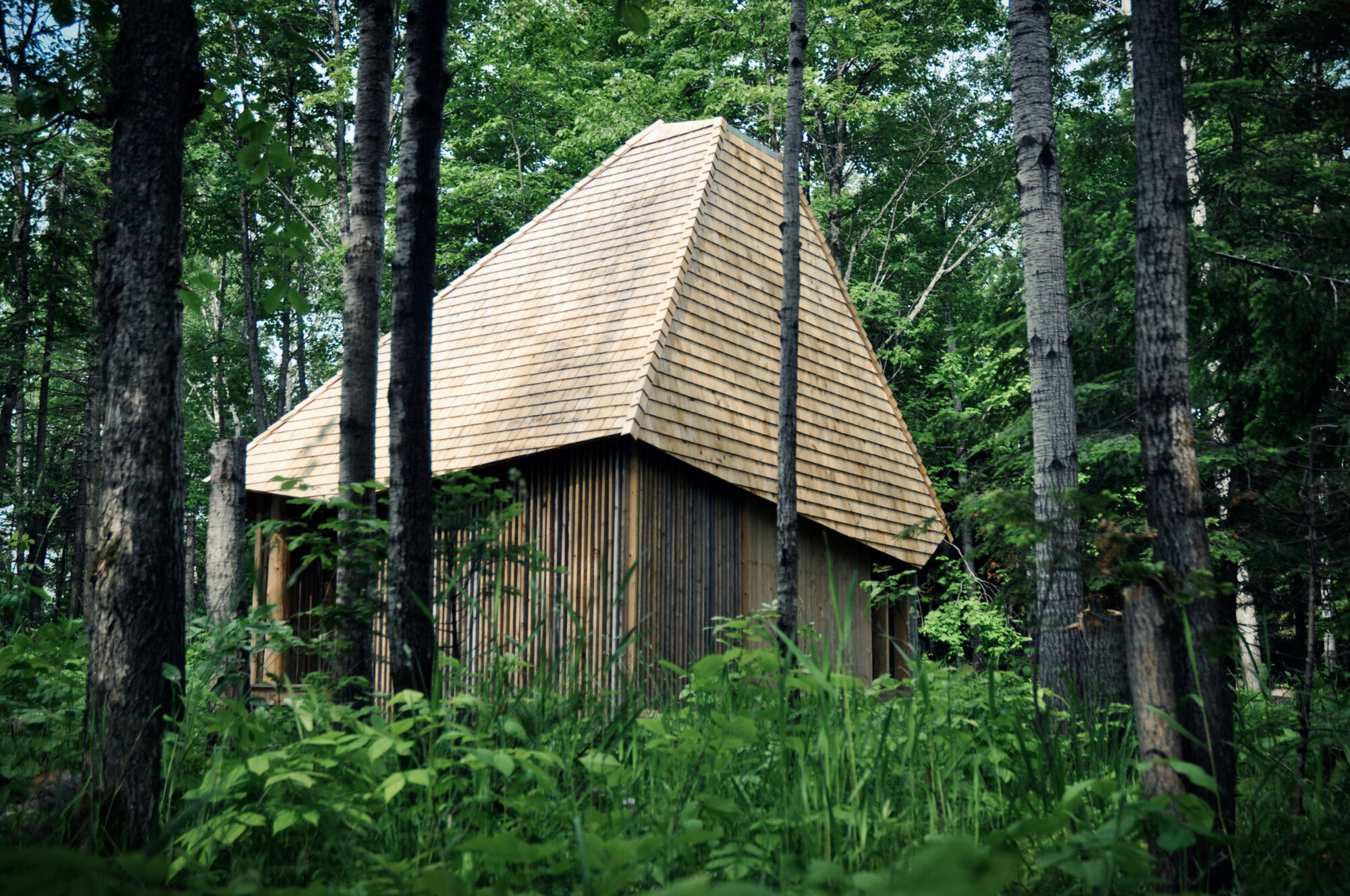 What Primitive Huts Teach Us About Architecture – Common Edge