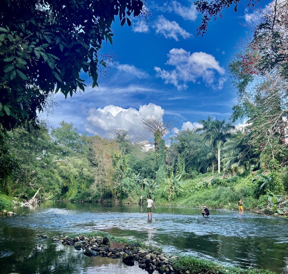 Havana’s Evolving Public-Private Landscape – Common Edge