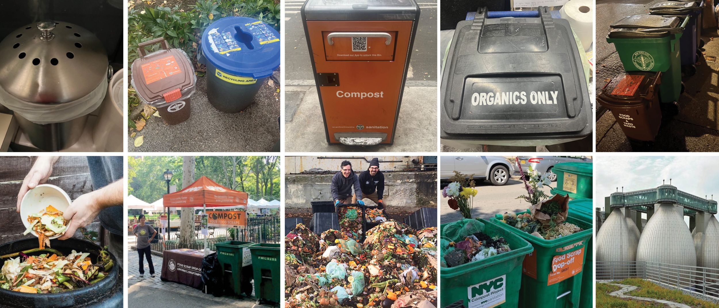 Why Is NYC’s Mandatory Composting Program So Invisible? – Common Edge