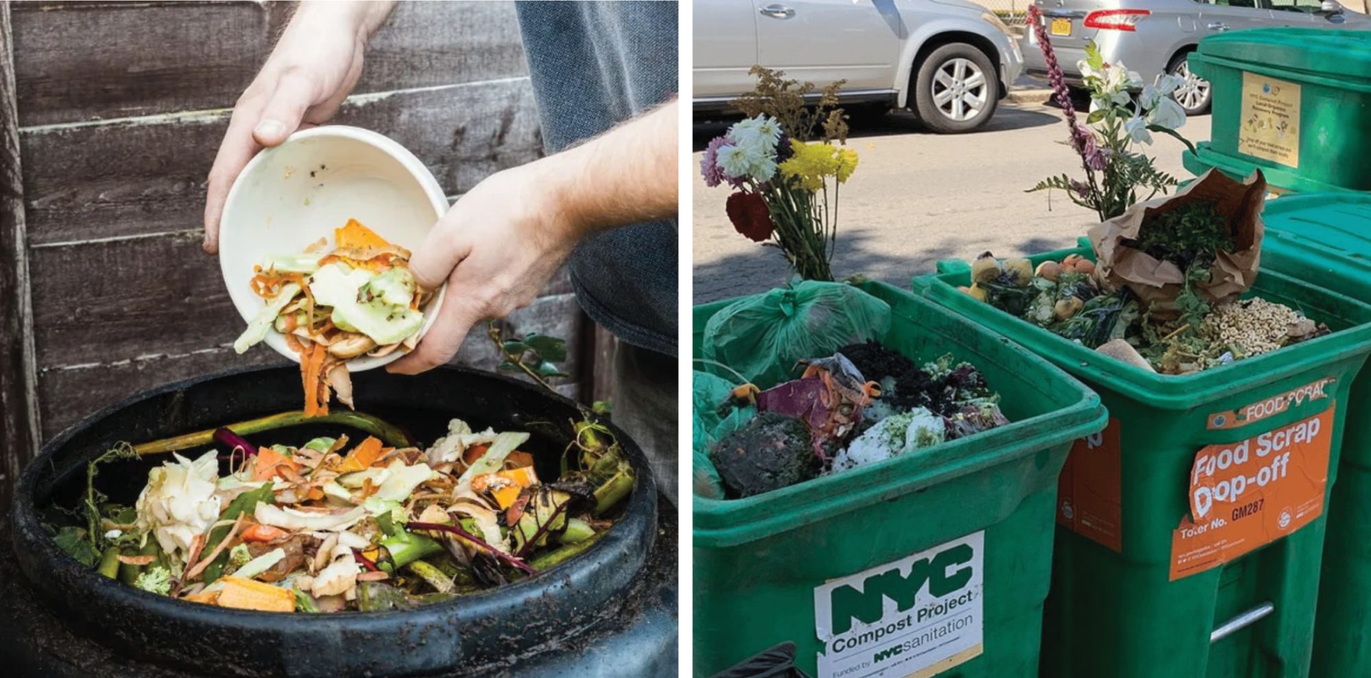 Why Is NYC’s Mandatory Composting Program So Invisible? – Common Edge
