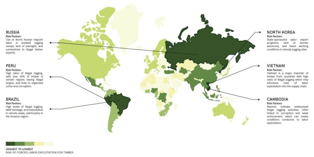 A Student Design Competition Tackles Forced Labor in the Construction ...